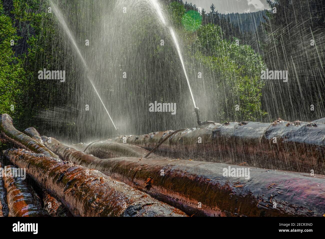 Wet storagewood hi-res stock photography and images - Alamy