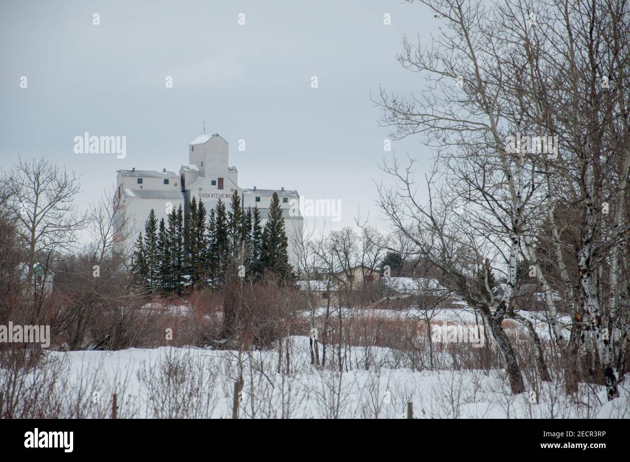 Saskatchewan pool grain elevator hi-res stock photography and images ...
