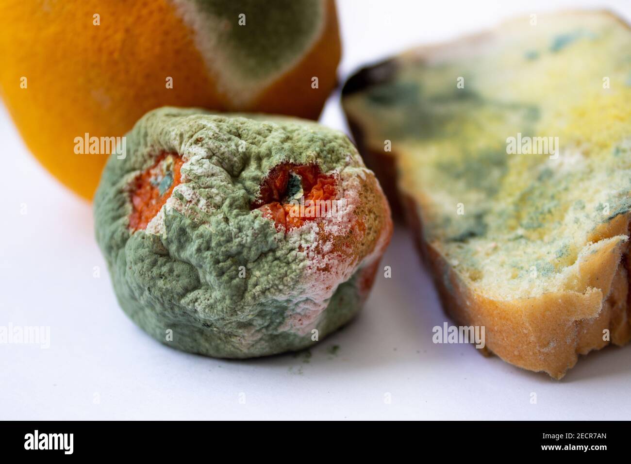 Infected Fruits High Resolution Stock Photography and Images - Alamy