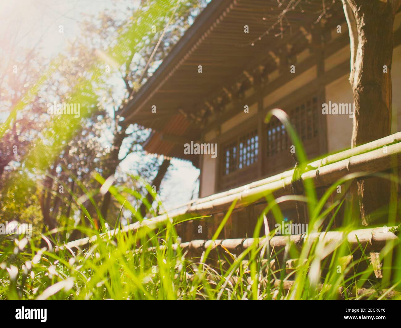 Shinto building hi-res stock photography and images - Alamy