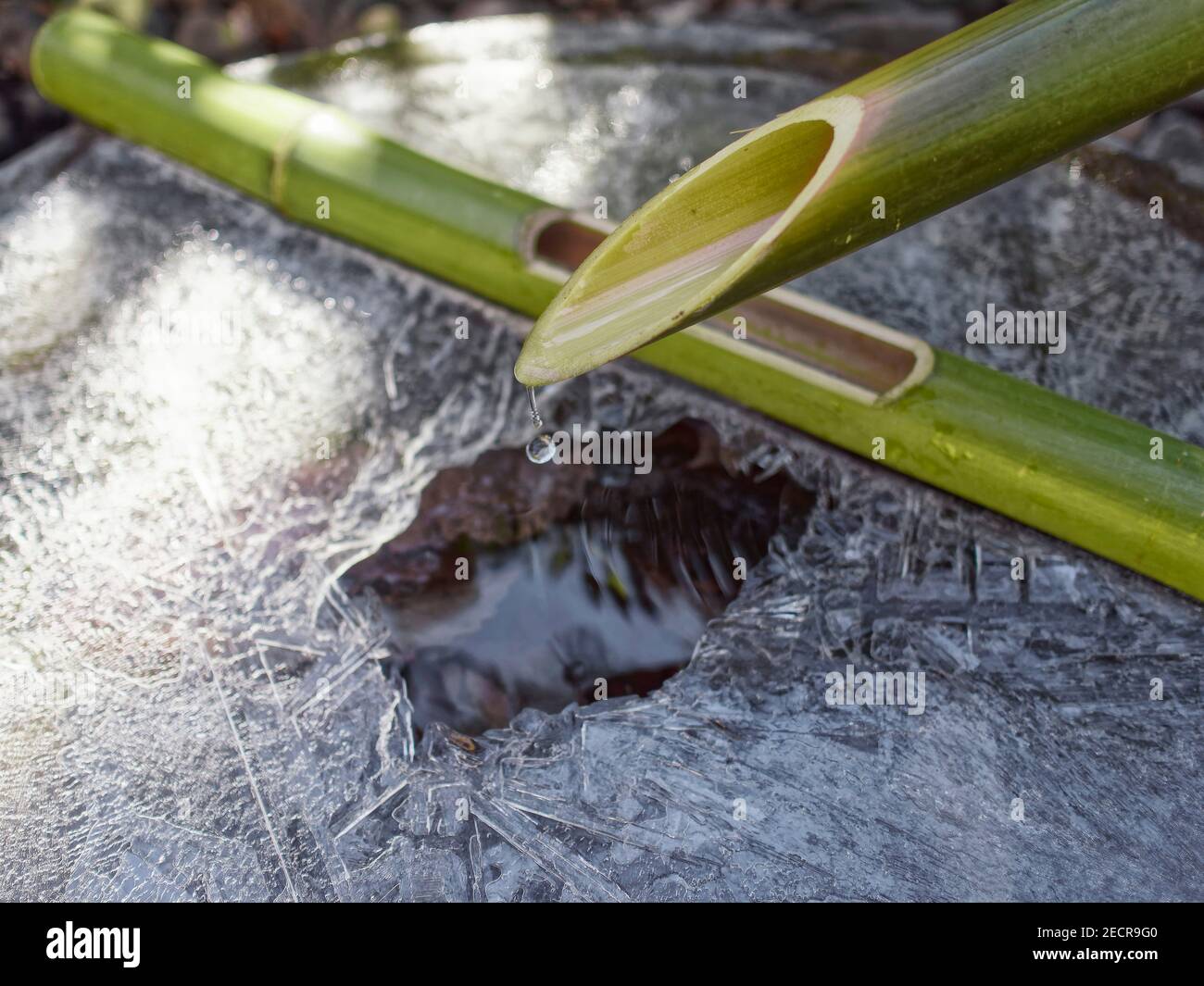 A bamboo water feature with ice in a Japanese garden, Tokyo Stock Photo ...