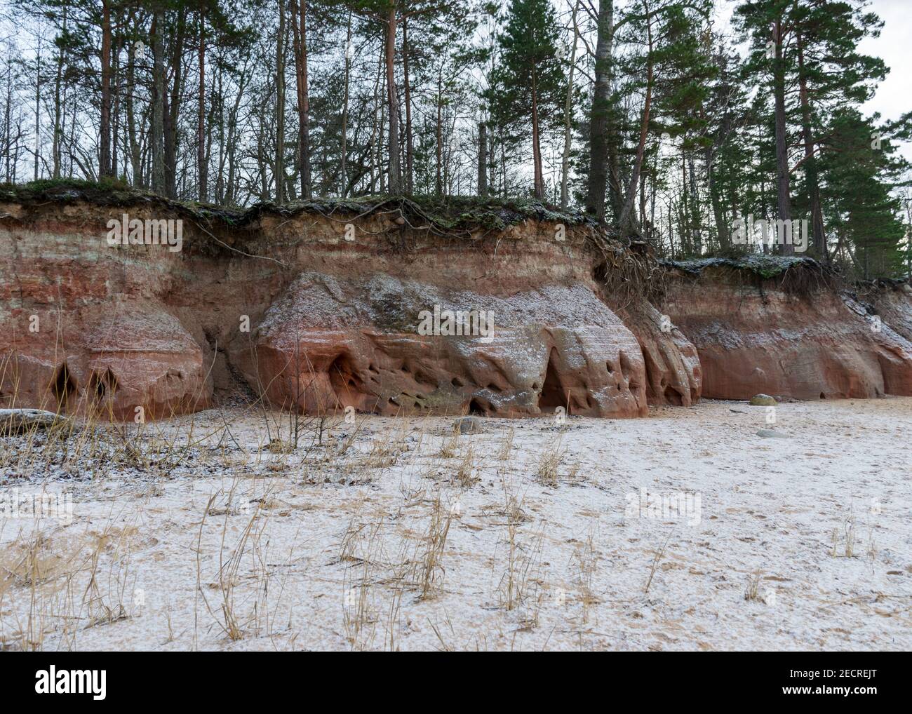 Sea cliff with Devonian sandstone outcrops. During the storm, niches ...
