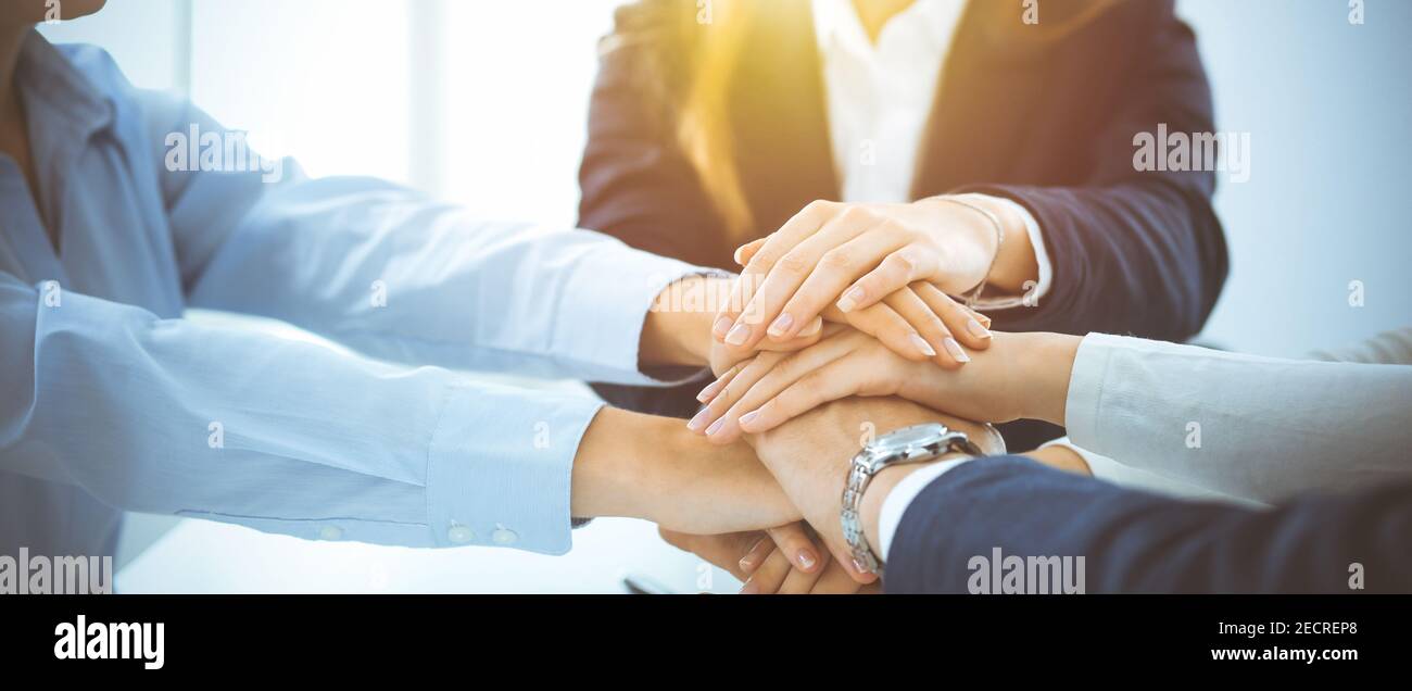Business team showing unity with their hands together in sunny office. Group of people joining ...