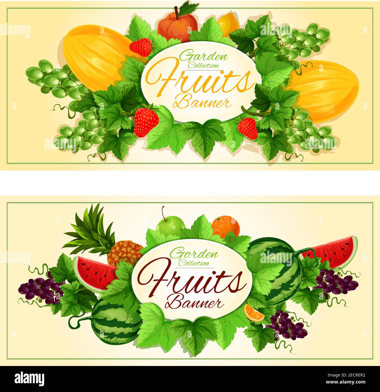 Oval melon Stock Vector Images - Alamy