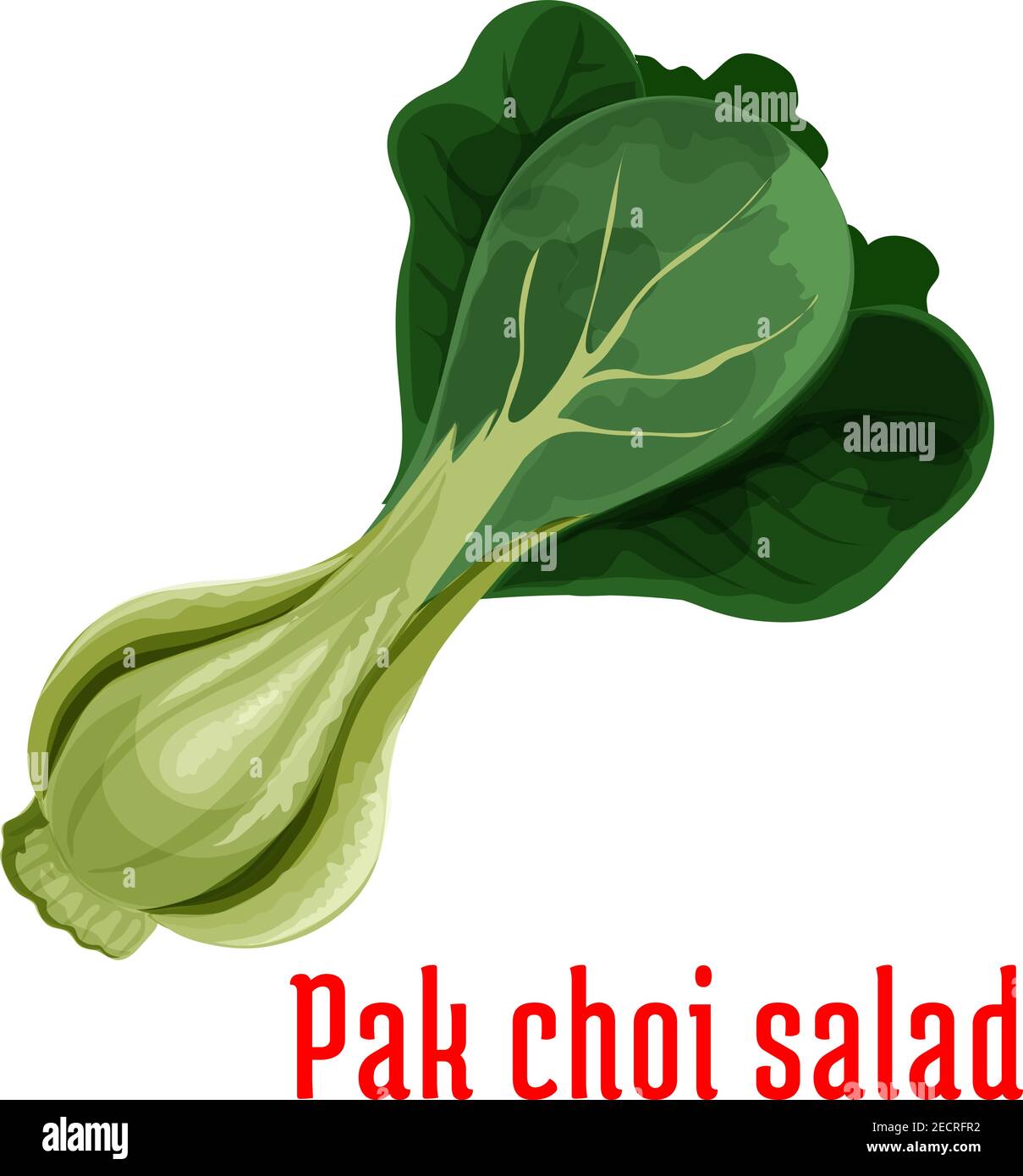 Bok choy or chinese cabbage vegetable icon with fresh cluster of green ...