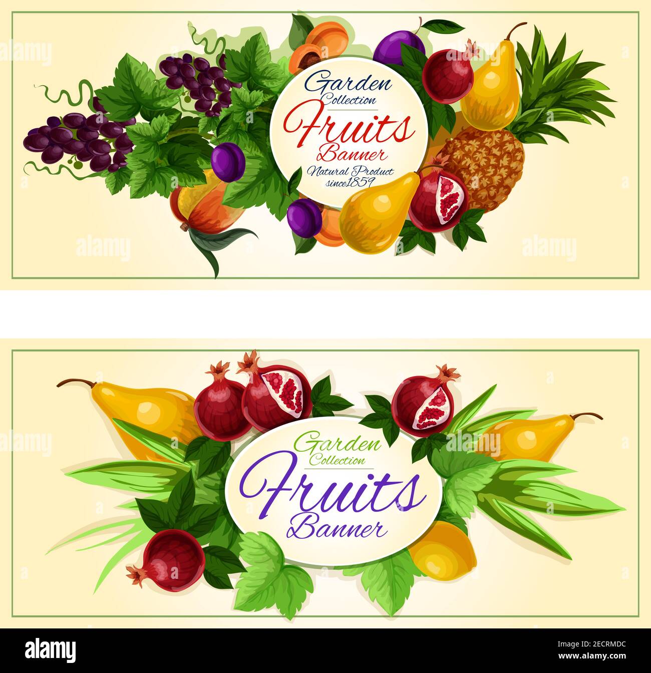 Fruit Banner Design