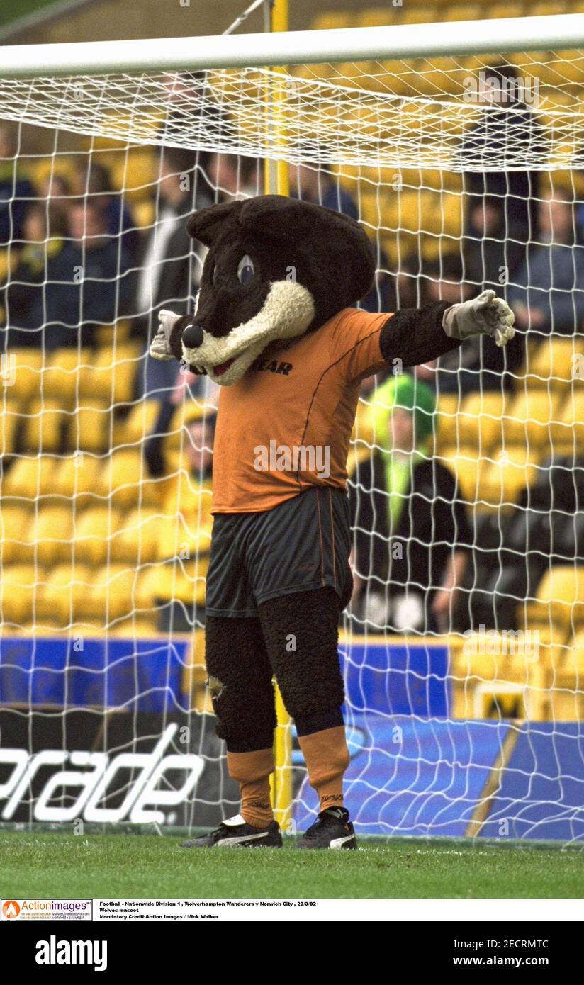 Norwich City Mascot High Resolution Stock Photography and Images - Alamy