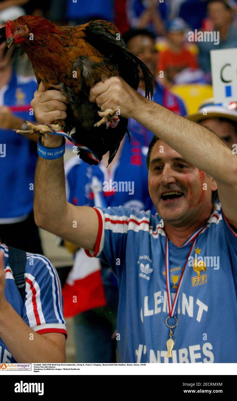 2002 busan stadium hi-res stock photography and images - Alamy