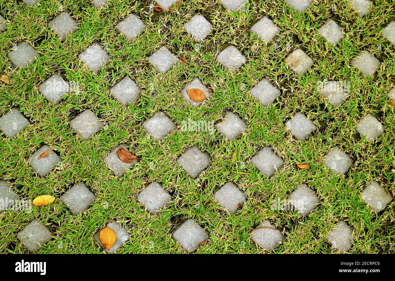 Turf Stone Paver with Green Grasses and Fallen Leaves Stock Photo - Alamy