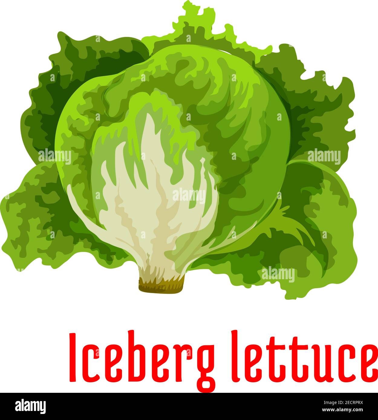 Crisp leaf Stock Vector Images - Alamy