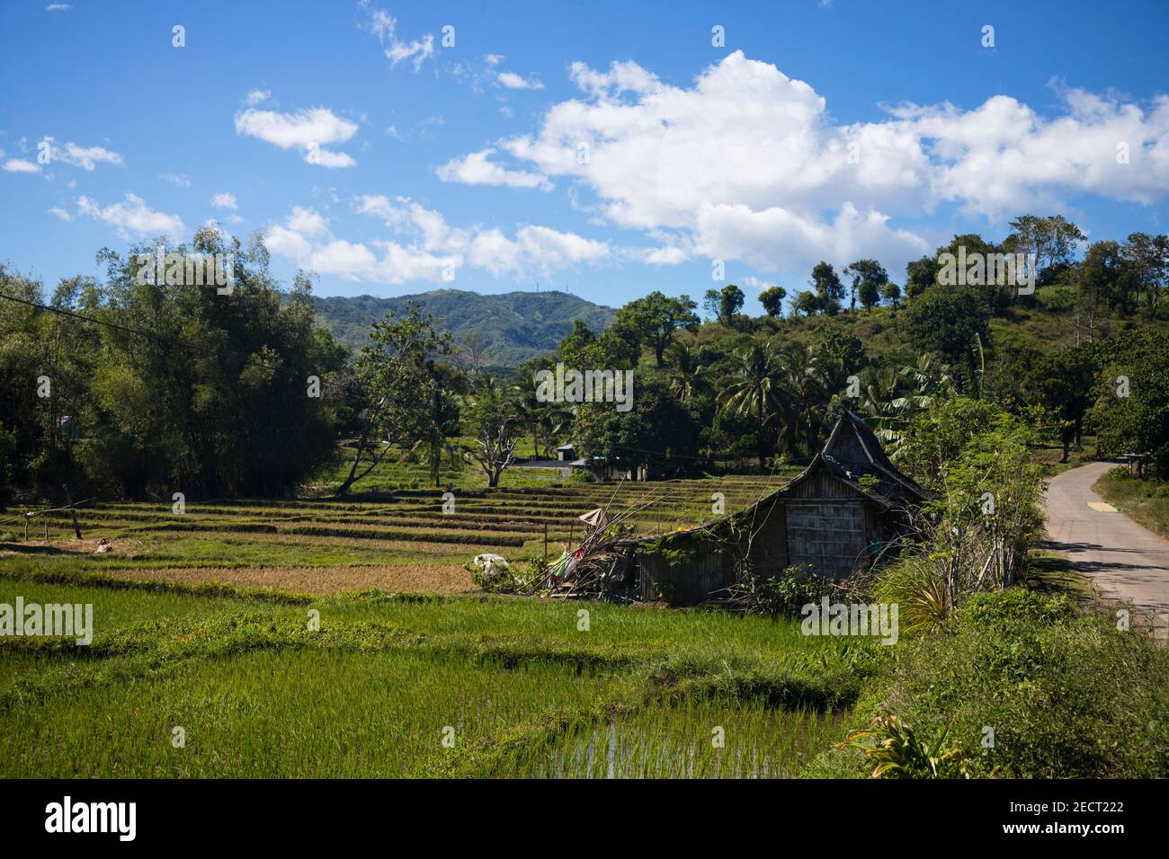 Tropical rural landscape with simple rustic hut. Mountain landscape ...