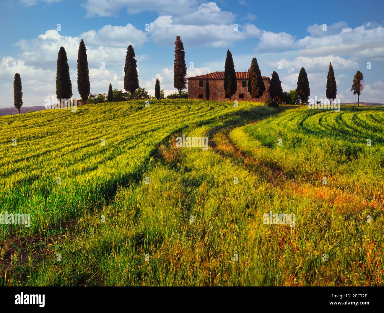 An iconic farmhouse in Tuscany, Italy Stock Photo - Alamy