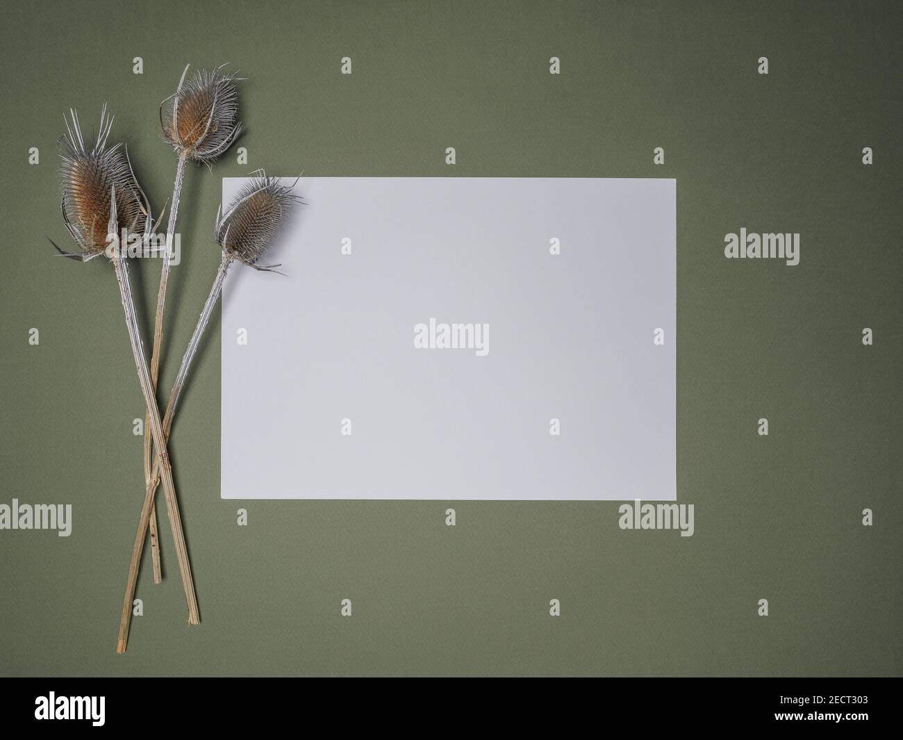 Overhead mockup blank white hi-res stock photography and images - Alamy