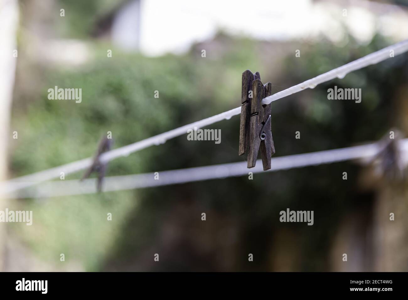 Empty wooden clothespins put on rope, clothes accessories Stock Photo ...