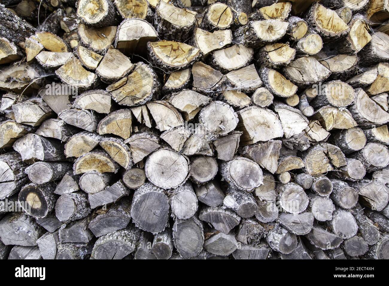 Rural wood environment hi-res stock photography and images - Alamy