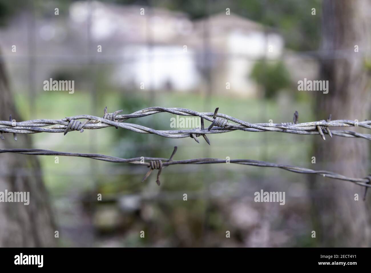 Barbed wire against immigration, human liberation, protection Stock ...