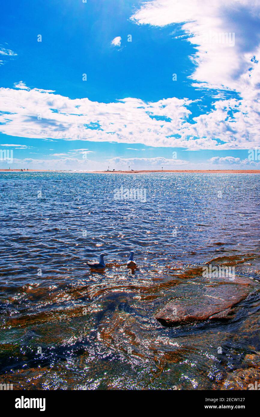 A vertical shot of rocky shore under the scenic sky Stock Photo - Alamy