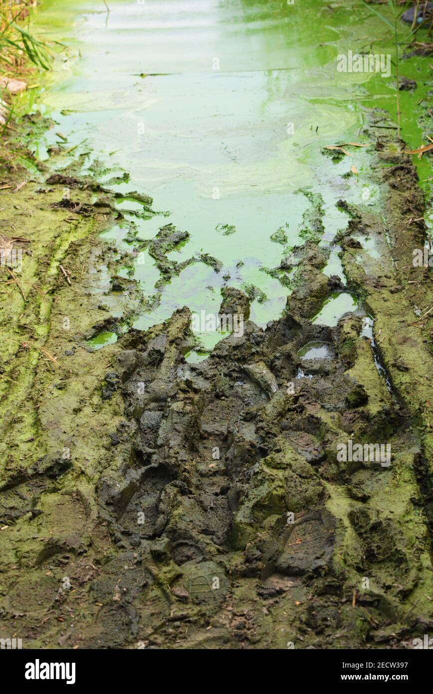 Deep mud, clay oil mixture, quagmire on the banks of the Samara River ...