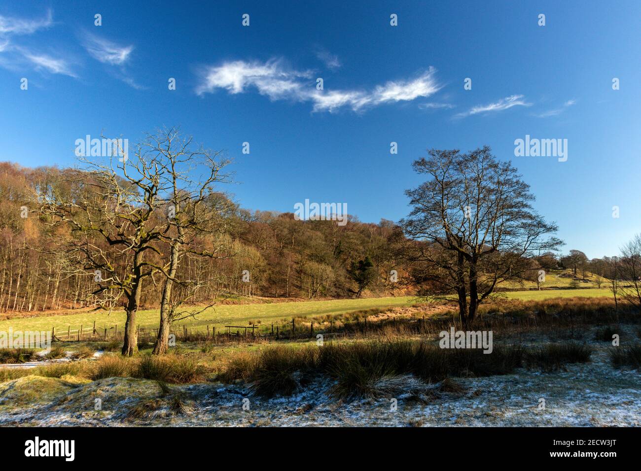 Hoghton hi-res stock photography and images - Alamy