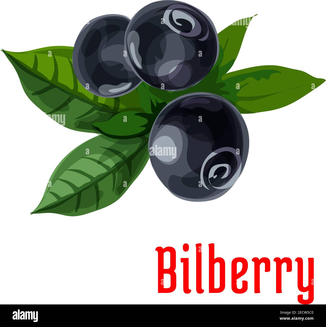 Bilberry fruit with green leaves icon with fresh forest blueberry ...
