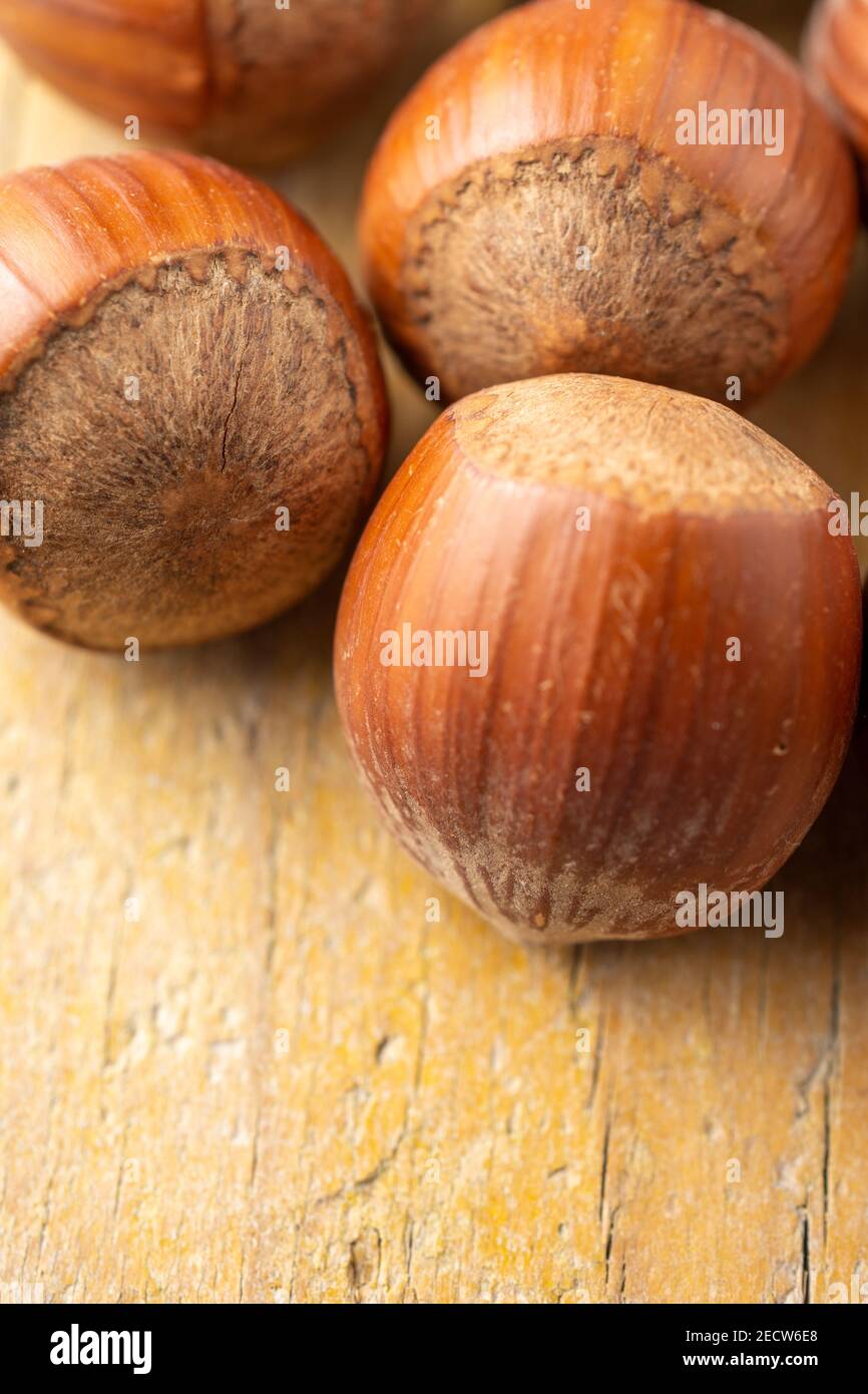 Macro closeup of hazelnuts on rustic table, with selective focus ...