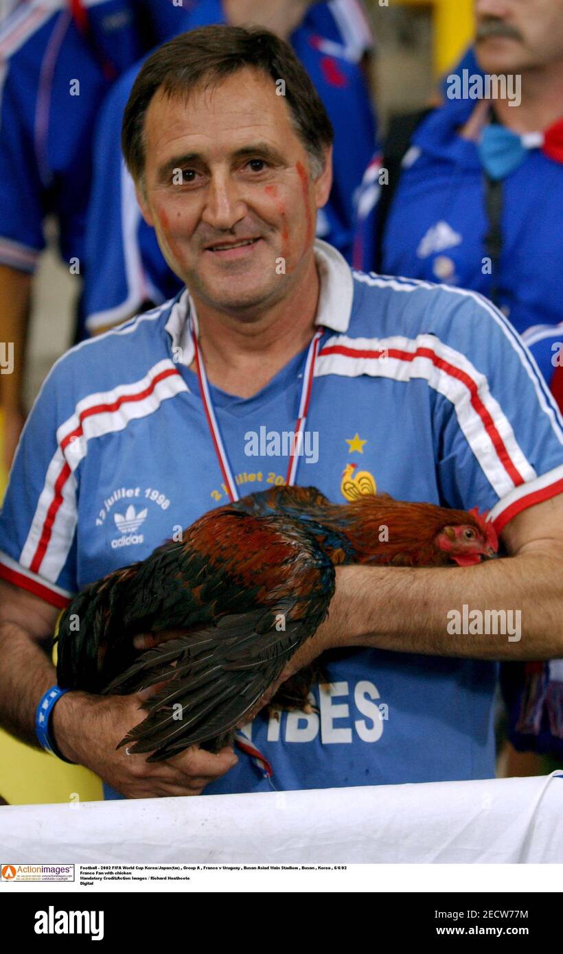 2002 busan stadium hi-res stock photography and images - Alamy