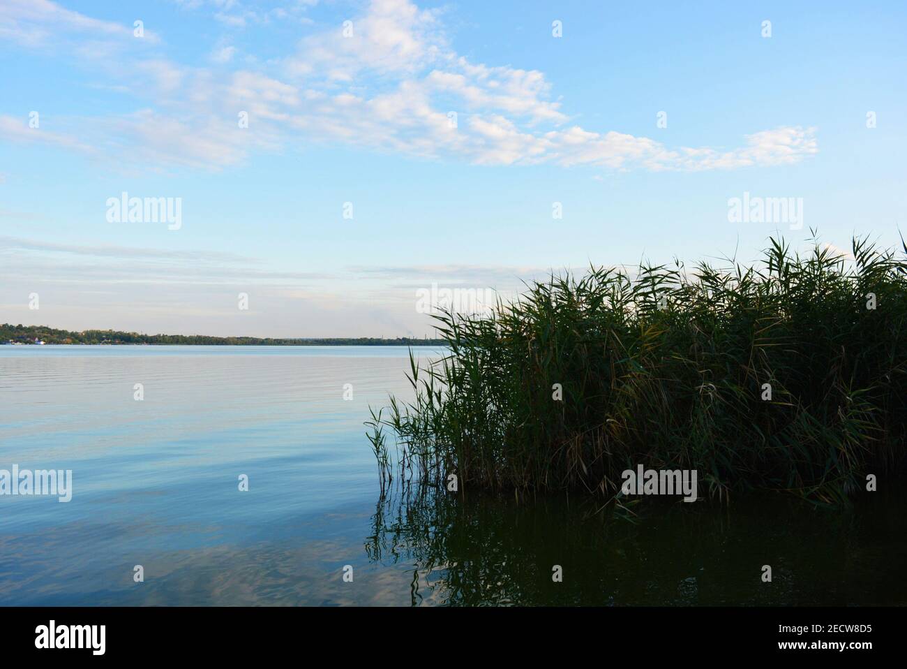 Severny island hi-res stock photography and images - Alamy