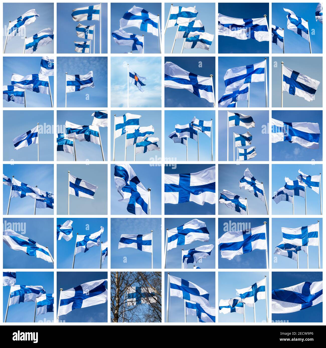 Sign against tree Cut Out Stock Images & Pictures - Alamy