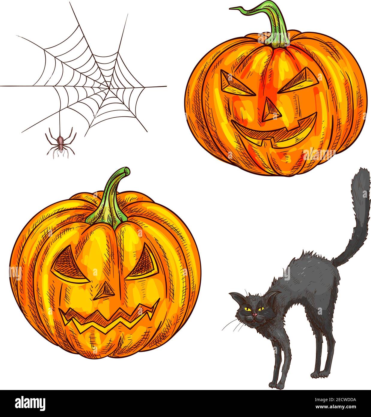 Halloween scary smiling pumpkin lantern. Isolated vector color sketch ...