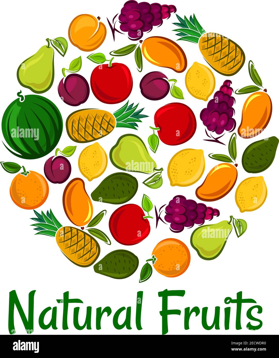 Fruits placard background. Vector round shape wallpaper of natural ...