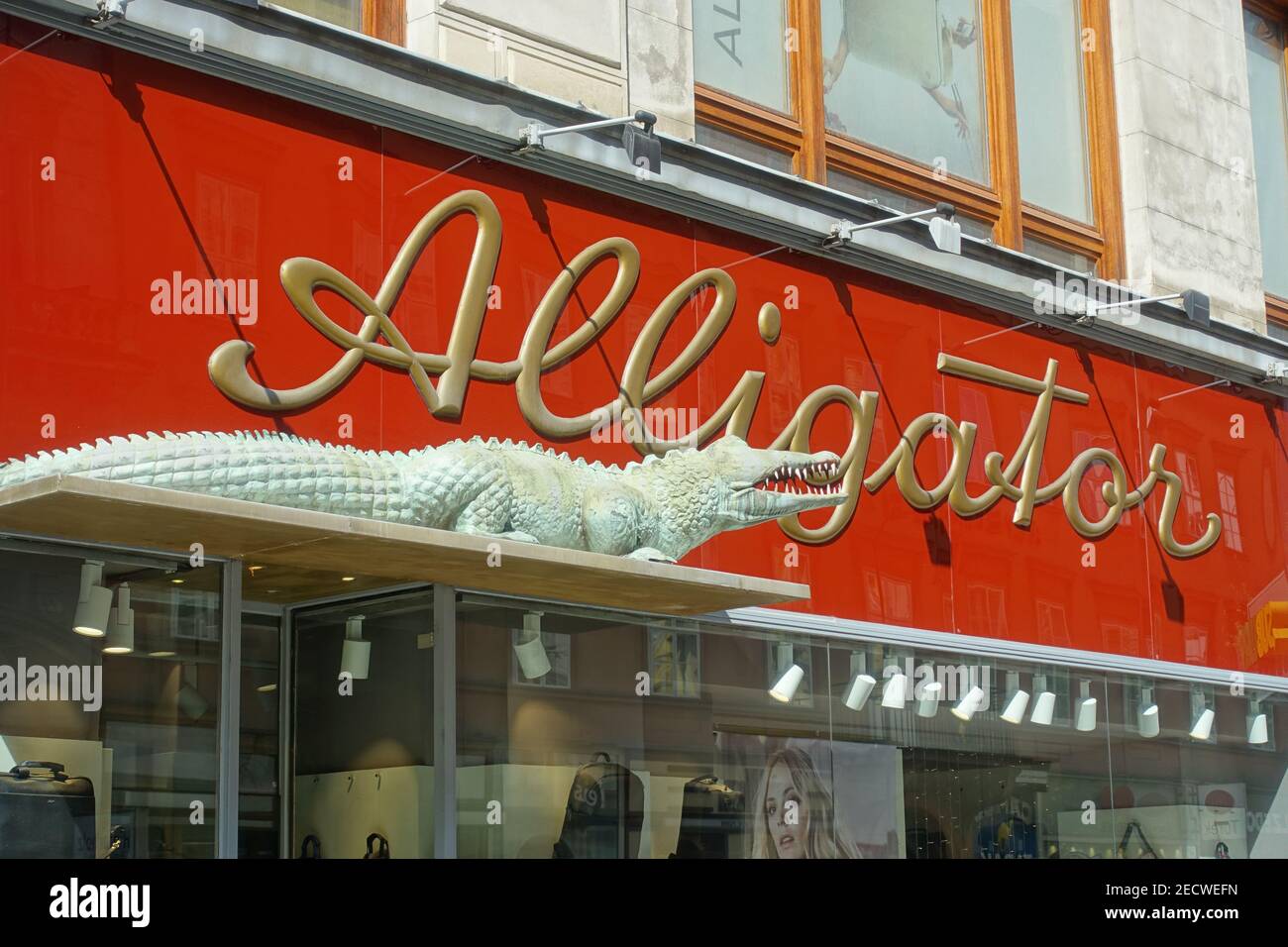 Wien, Rotenturmstraße, Lederwaren Alligator Stock Photo - Alamy