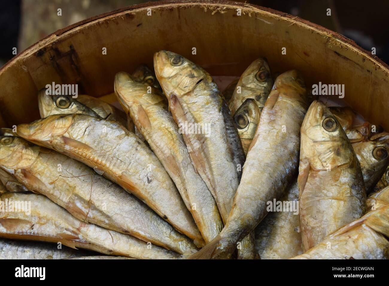 Dried herring hi-res stock photography and images - Alamy