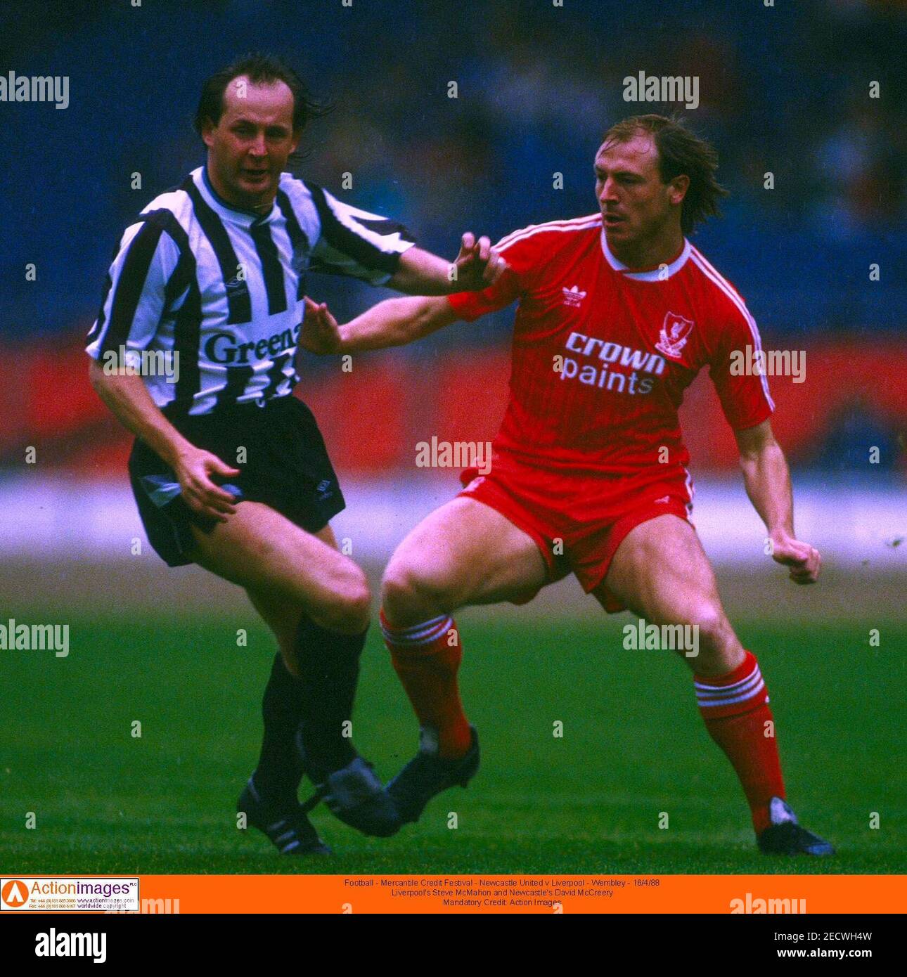David mccreery, newcastle united hi-res stock photography and images ...