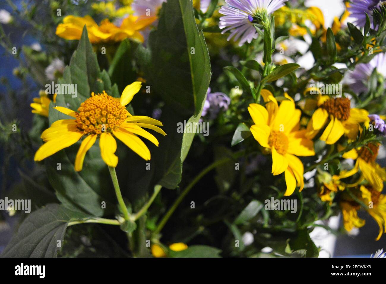 Beautiful Ukrainian wildflowers with different flowers and an ...