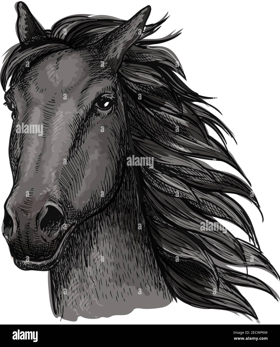 Raven run Stock Vector Images - Alamy