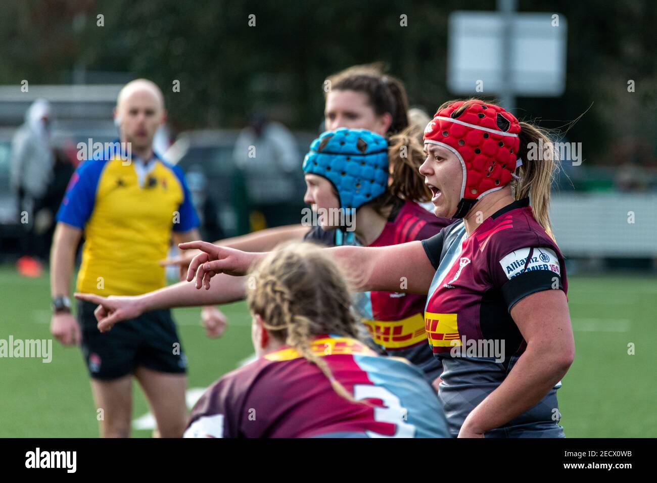 13th mew hi-res stock photography and images - Alamy