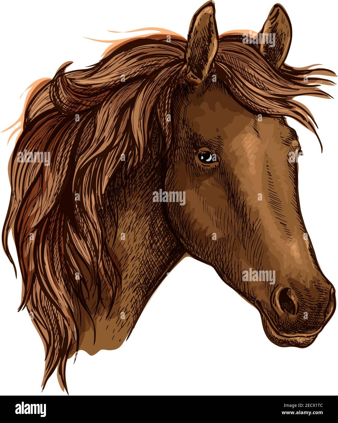 Brown graceful horse portrait. Wild mustang with sad shiny eyes and ...