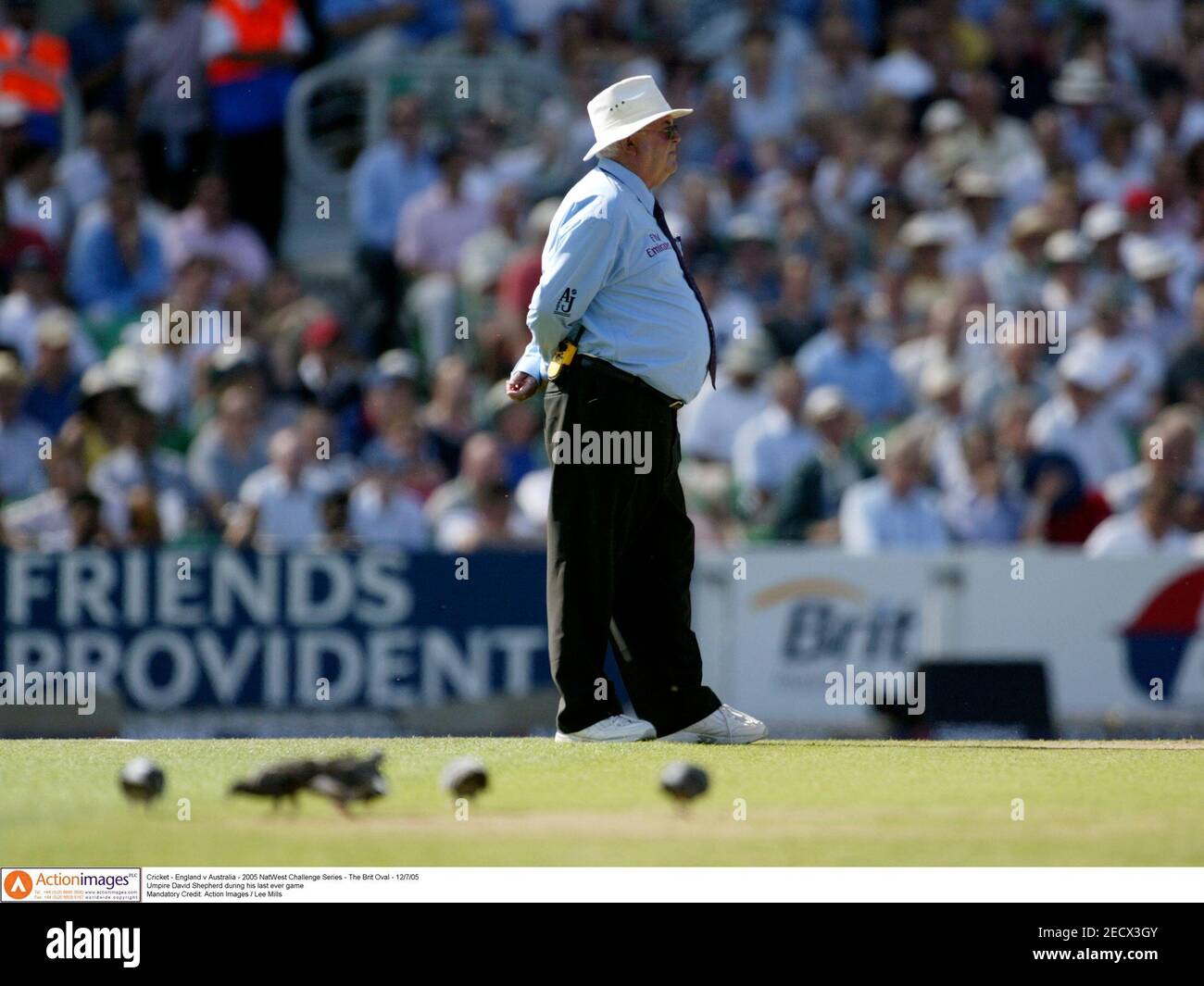 David shepherd cricket umpire hi-res stock photography and images - Alamy