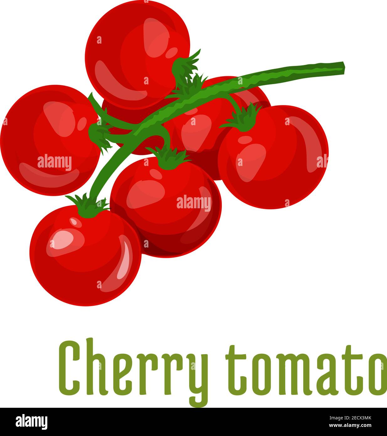 Green stem on tomato Stock Vector Images - Alamy