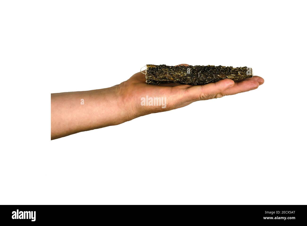 Men's Hand demonstrates Dried beef tripe. Chews treats for dogs ...