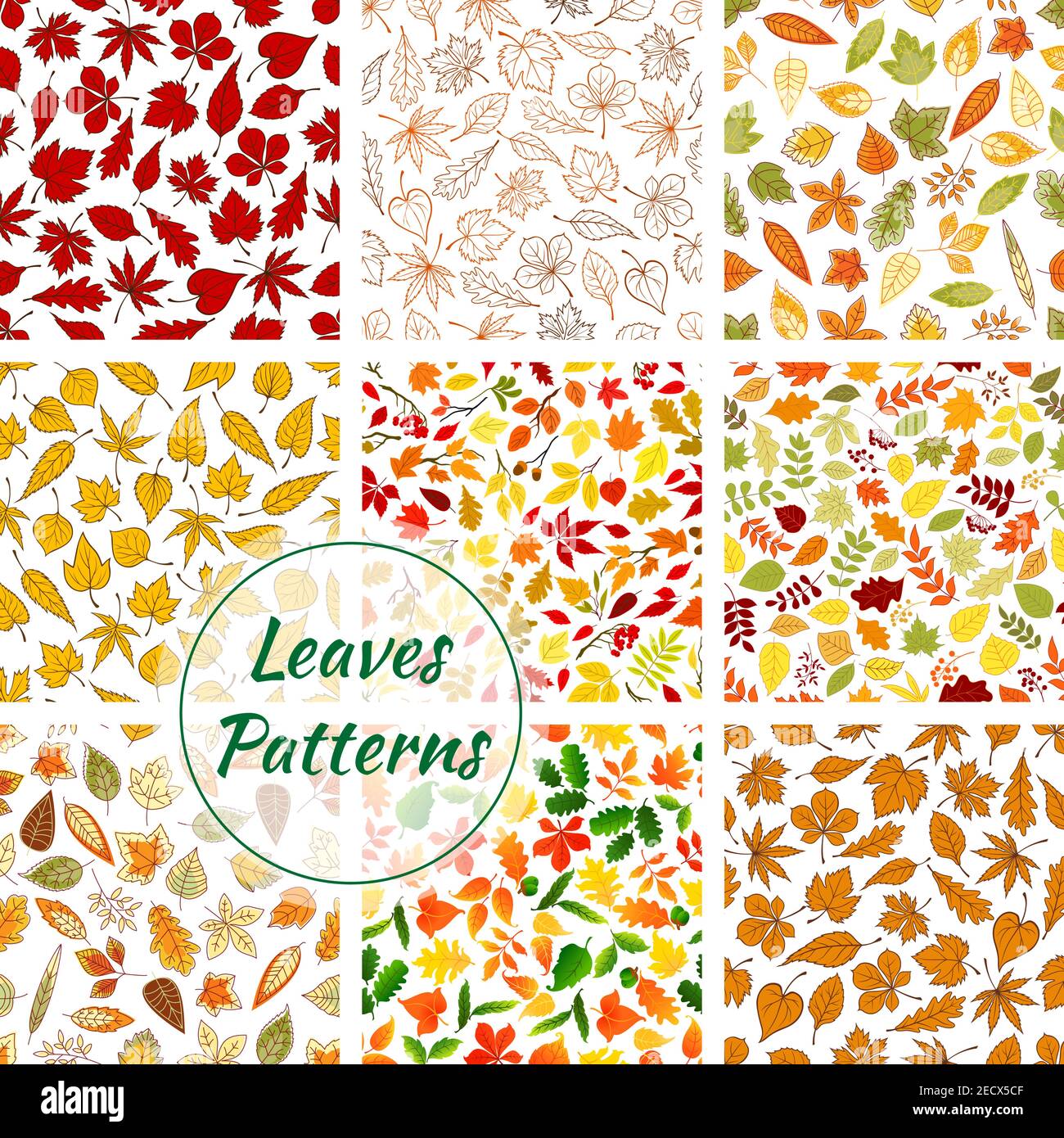 Aspen leaves fall color Stock Vector Images - Alamy