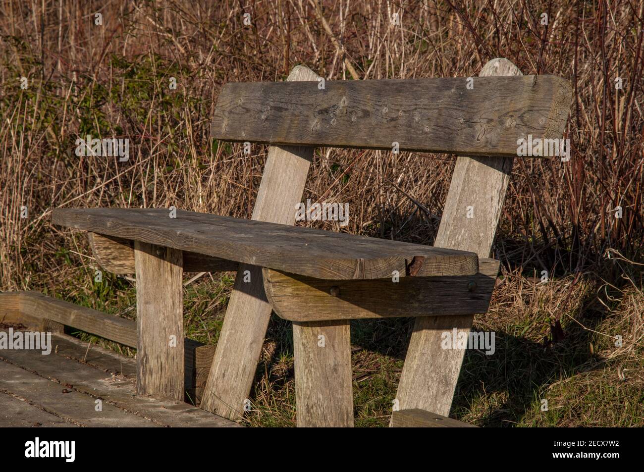 Bench in the nature Stock Photo - Alamy
