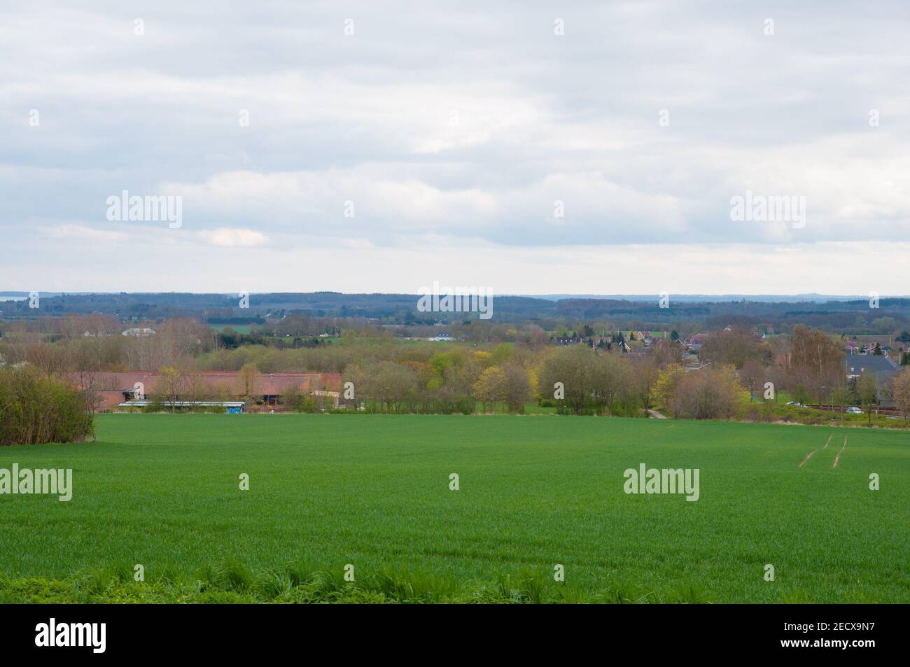 Landscape near town of Faxe in Denmark Stock Photo - Alamy