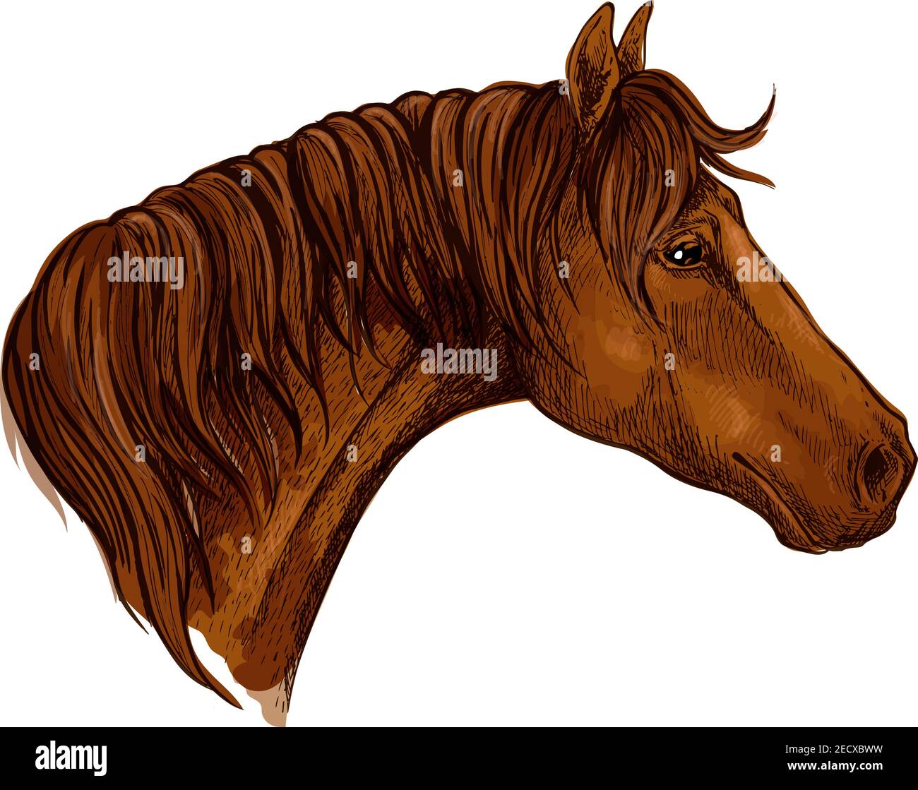 Brown calm Stock Vector Images - Alamy