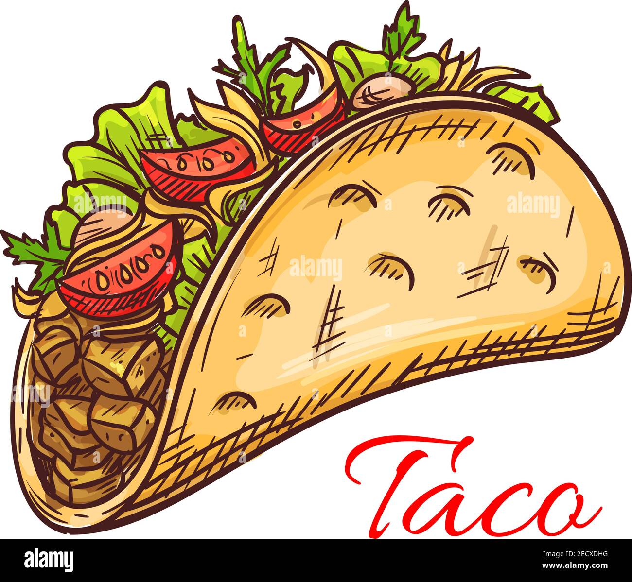 Mexican beef taco with fresh vegetables sketch of crispy corn tortilla ...