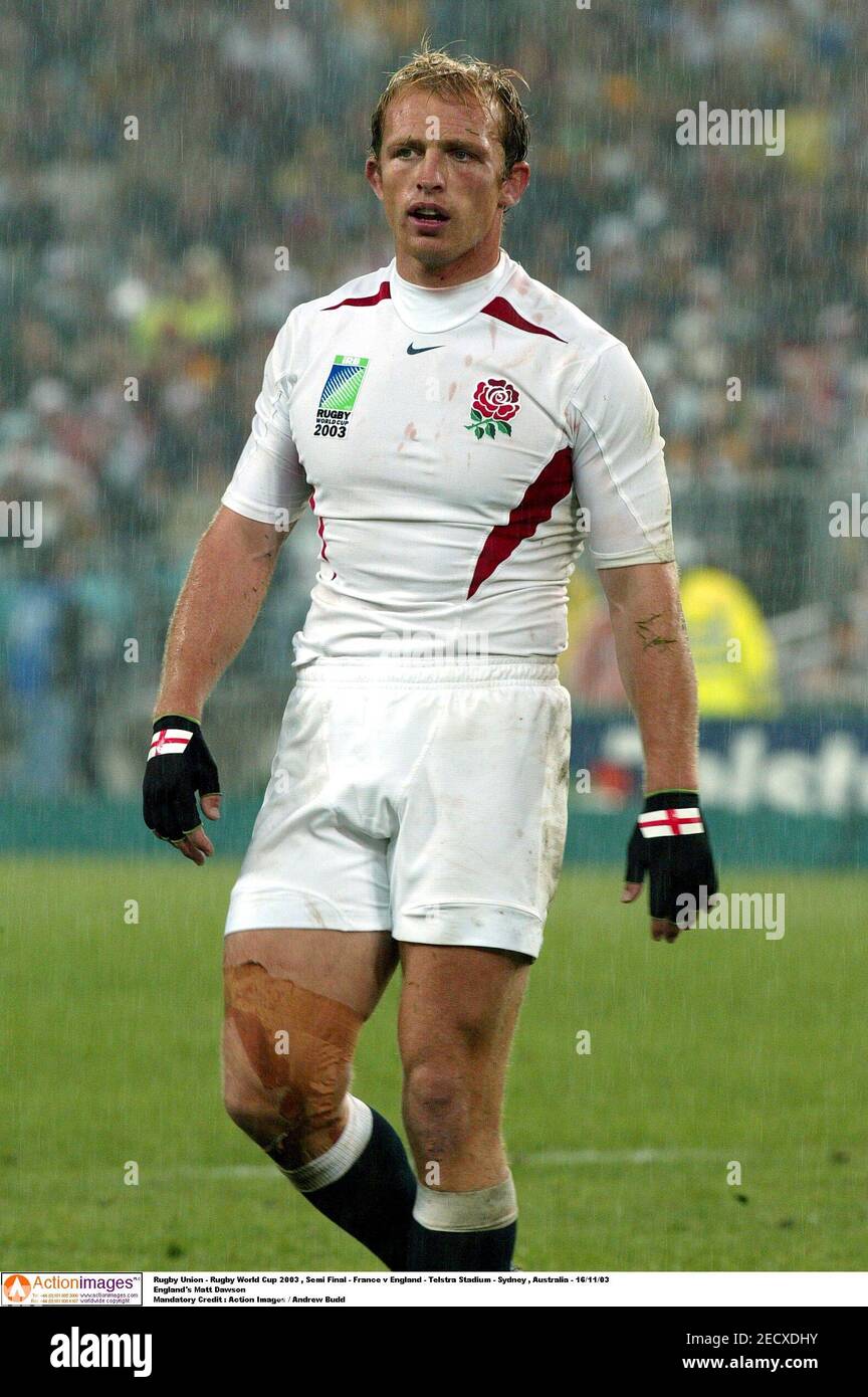 Matt dawson rugby world cup hi-res stock photography and images - Alamy