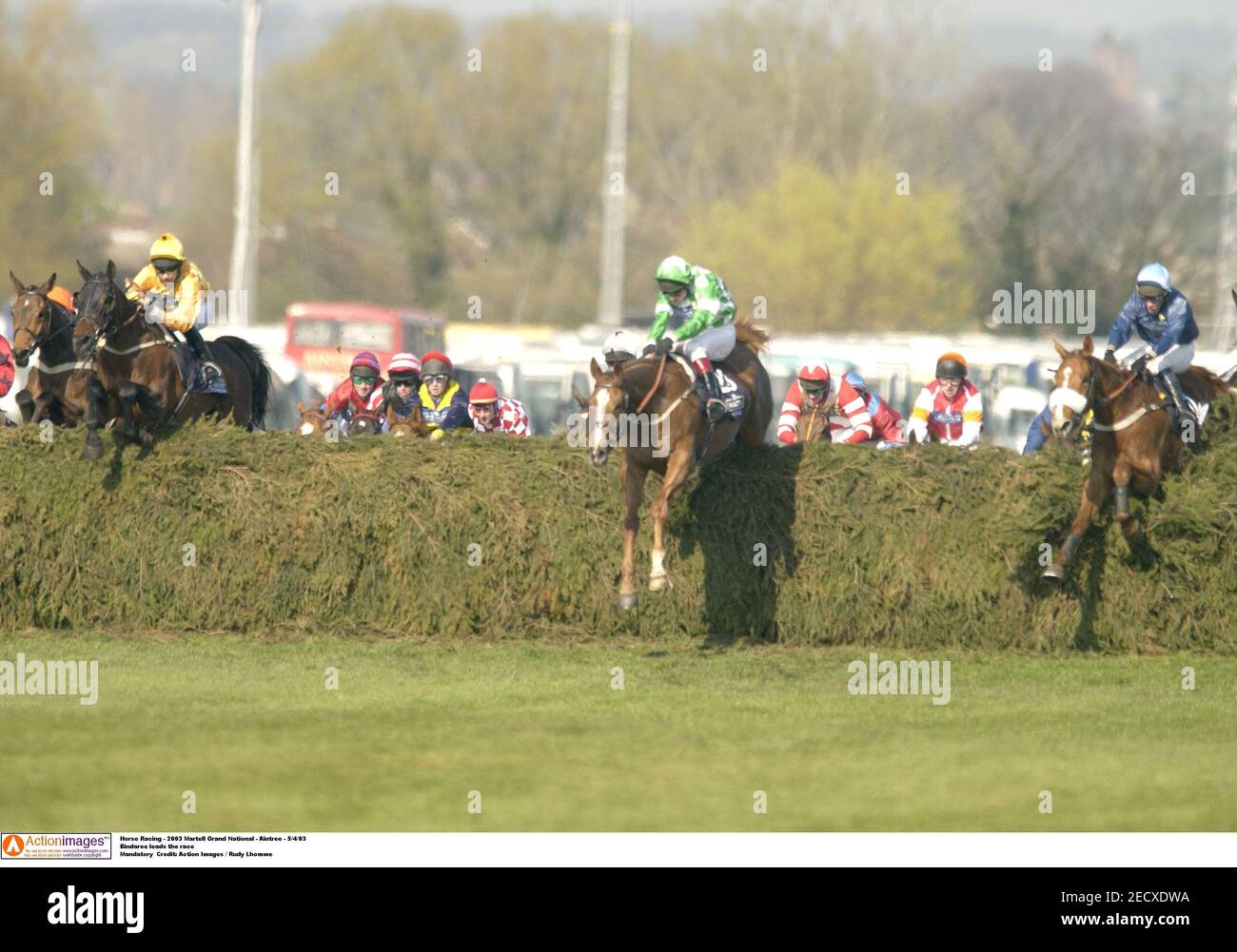 Bindaree High Resolution Stock Photography and Images - Alamy