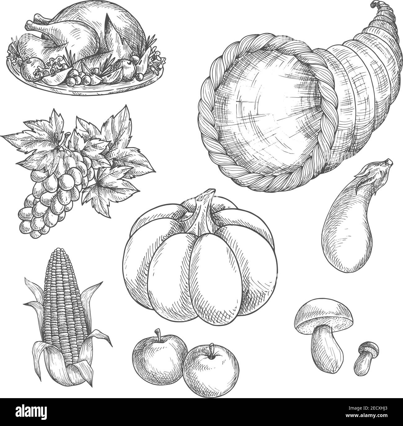Thanksgiving fruit vegetable on Black and White Stock Photos & Images ...