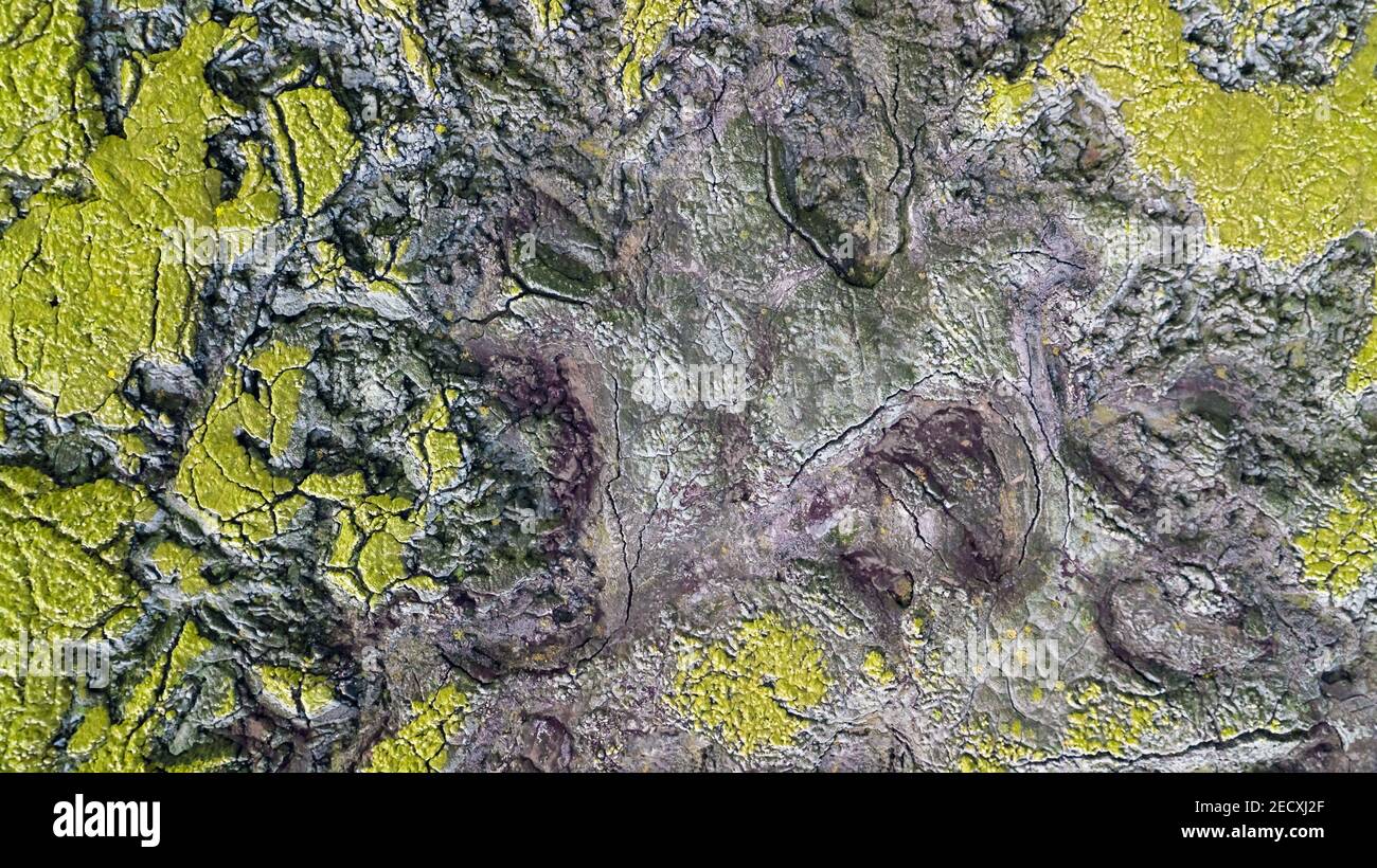 Aerial view of a lava field with moss in Iceland Stock Photo - Alamy