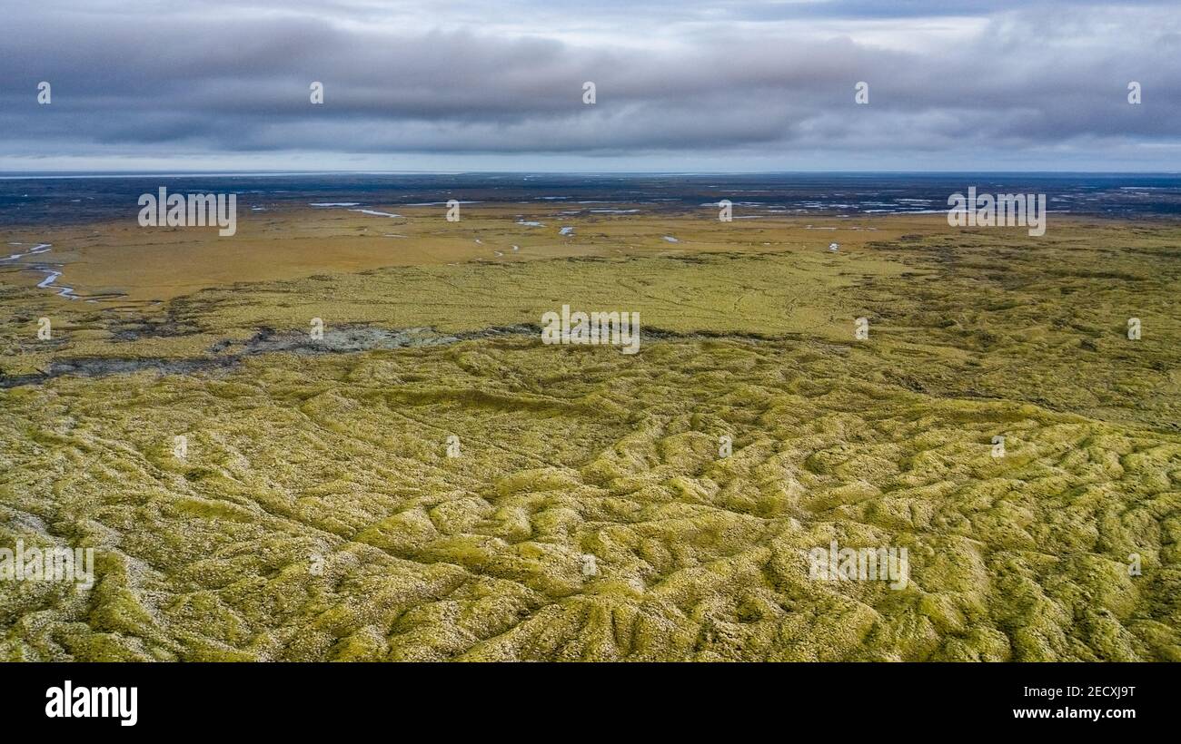 Aerial view of a lava field with moss in Iceland Stock Photo - Alamy